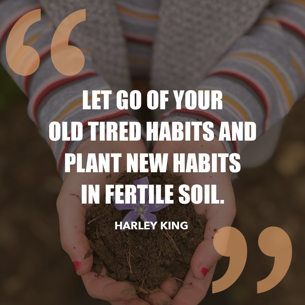 How to Build Productive Habits - Must Have Solutions